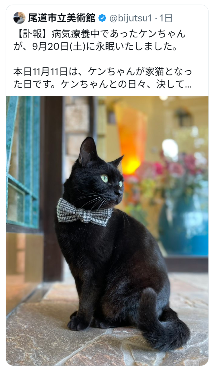尾道市立美術館の黒猫ケンちゃん、虹の橋へ――警備員さんとの攻防、世界中を笑顔に – emogram[エモグラム]
