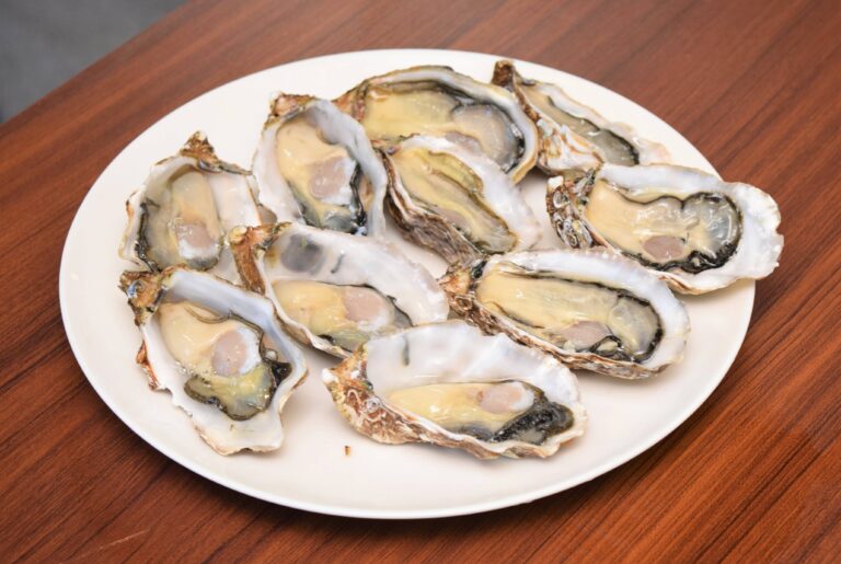 【取材】「このまま全滅するのでは」9割のカキが大量死滅も「一つの可能性がある！」 – emogram[エモグラム]